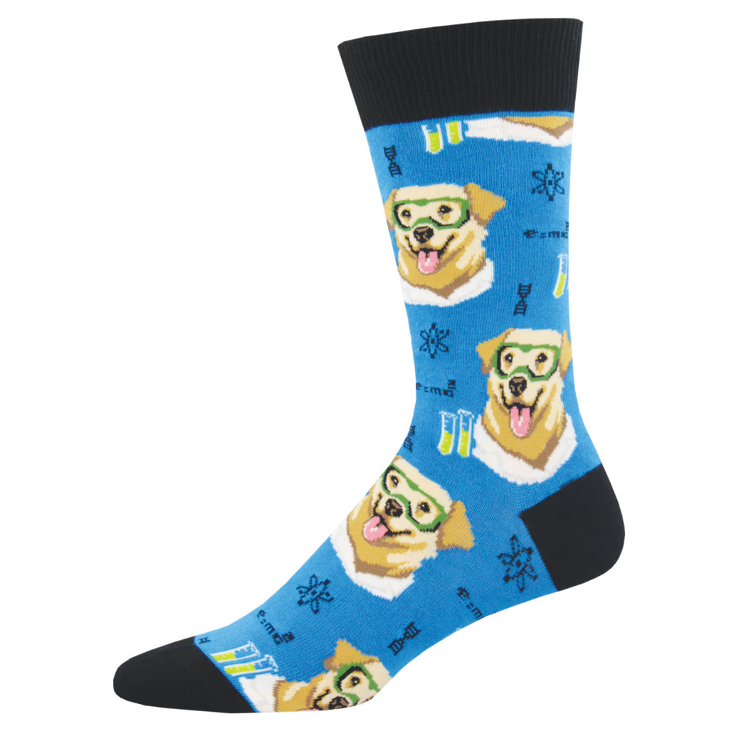 Men's Science Lab Socks – Socksmith Canada Inc.